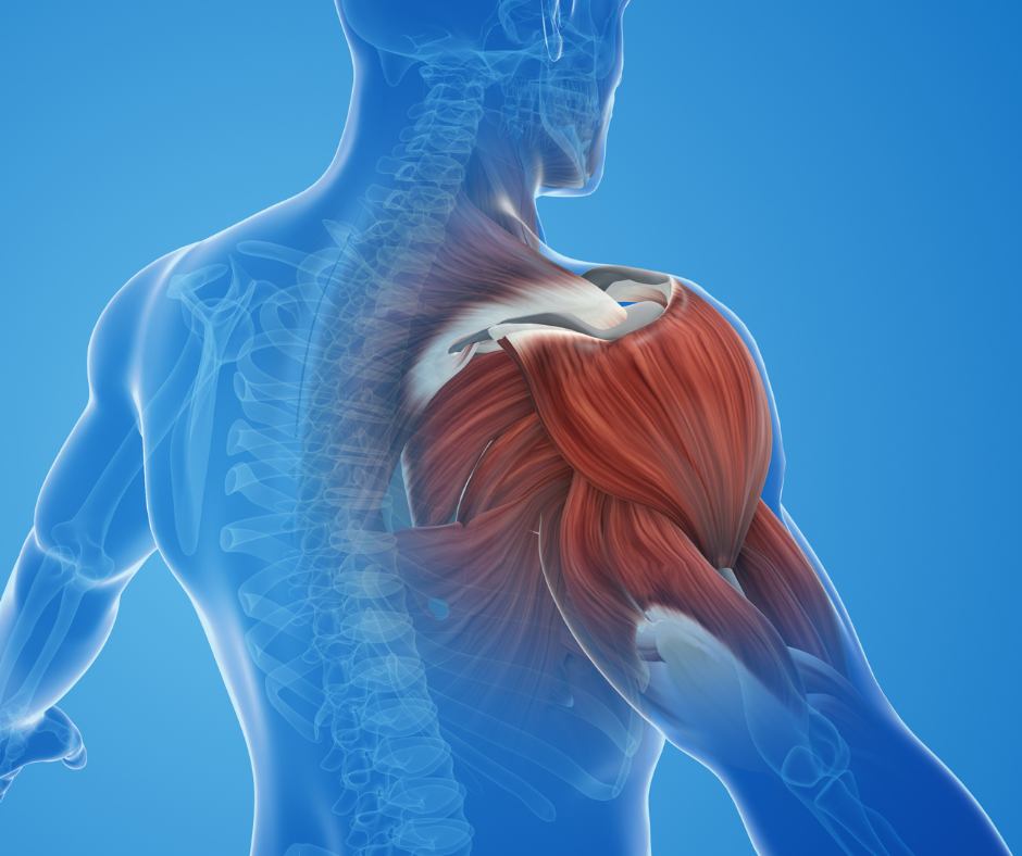 The Different Types of Internal Injuries